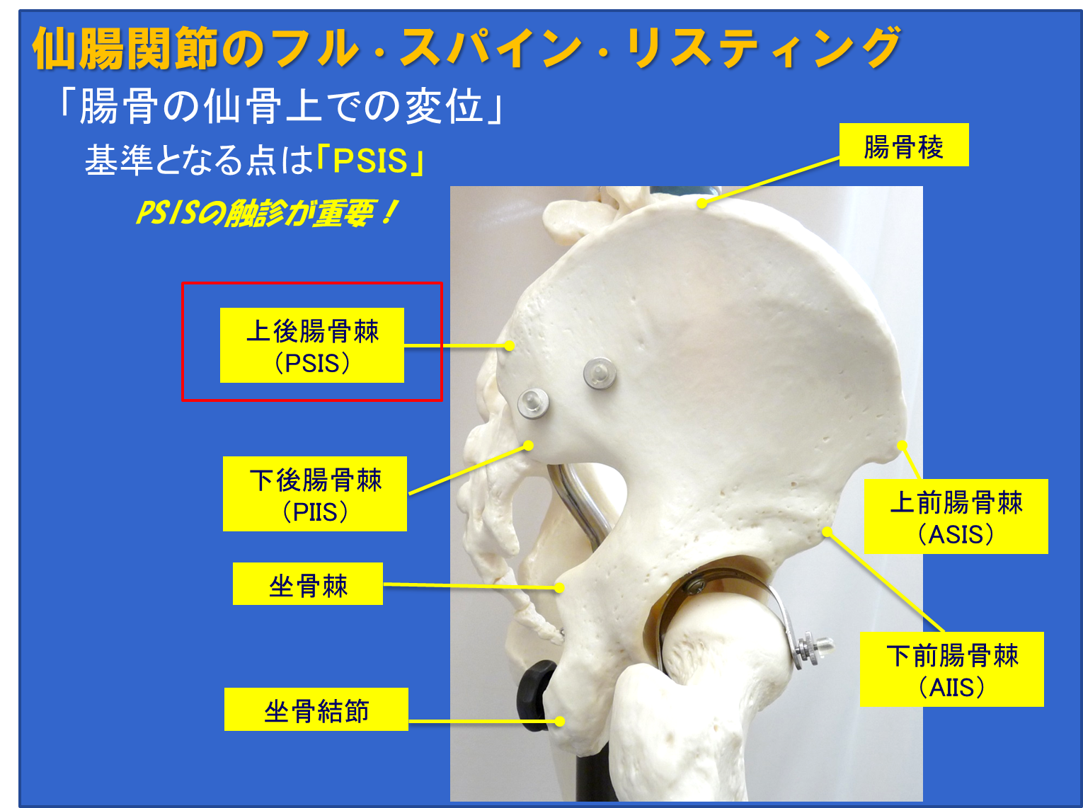 お知らせ – ページ 3 – 日本カイロプラクティック医学協会（JACM）